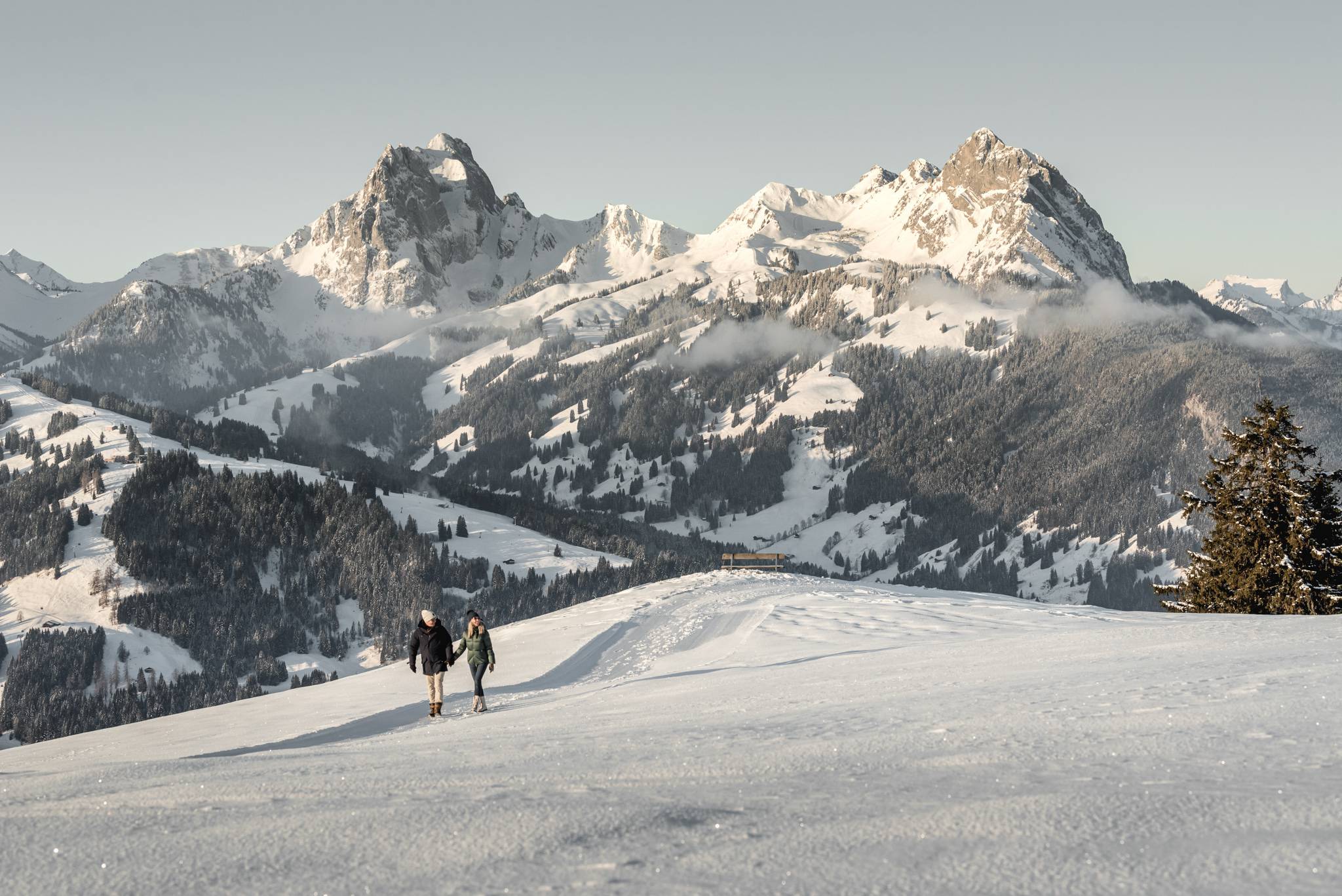 Snowshoeing in Gstaad | Winter holidays in Switzerland - Hotel Gstaaderhof
